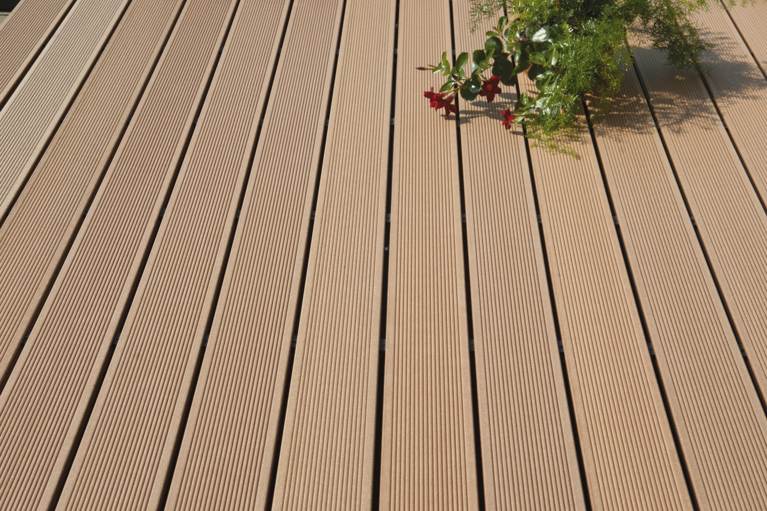 Johannes Fries GmbH & CO KG | megawood-Terrassendiele 21x145mm ...
